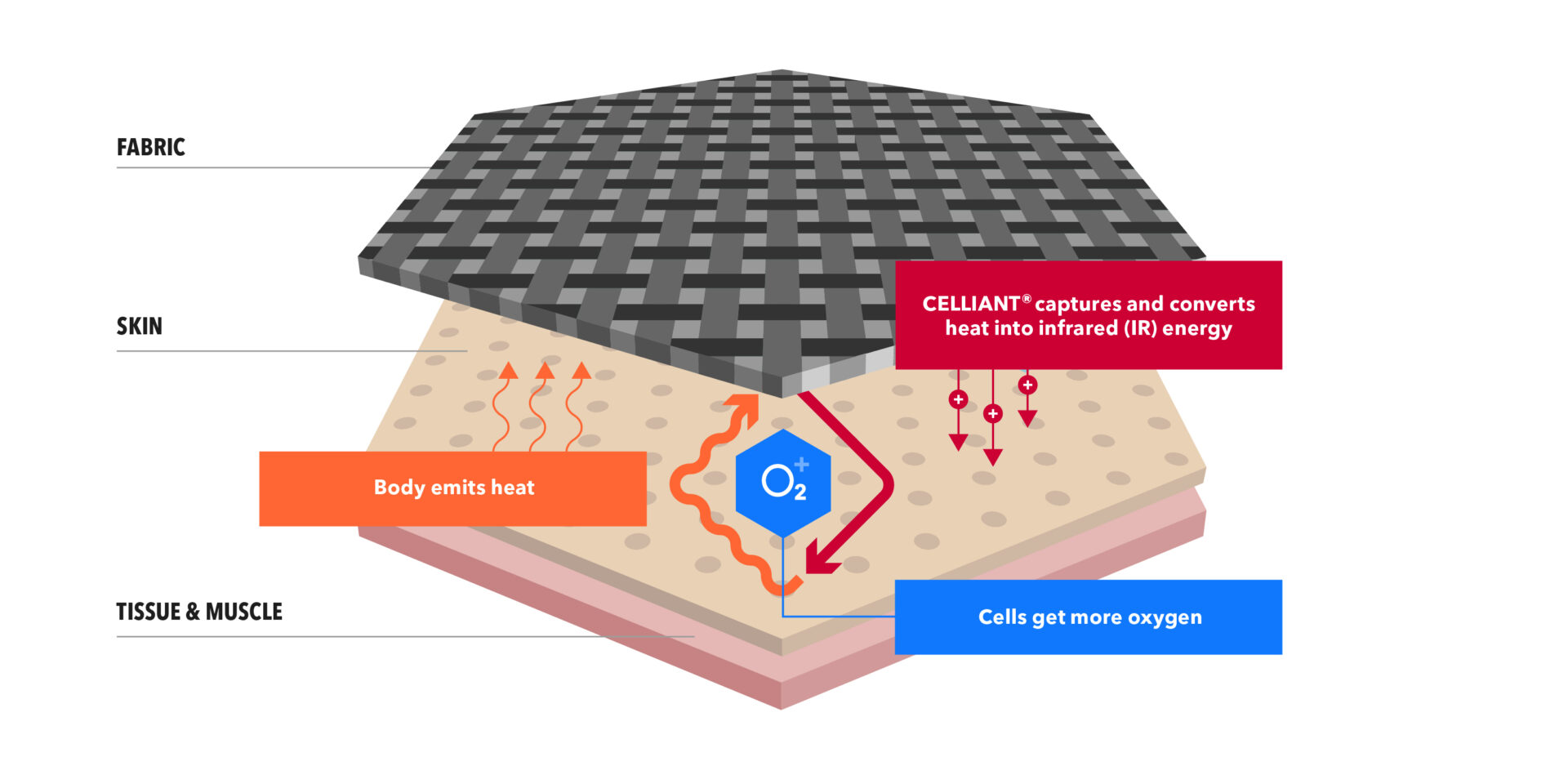 Recover - CELLIANT | Global Leader In Infrared Performance Textiles